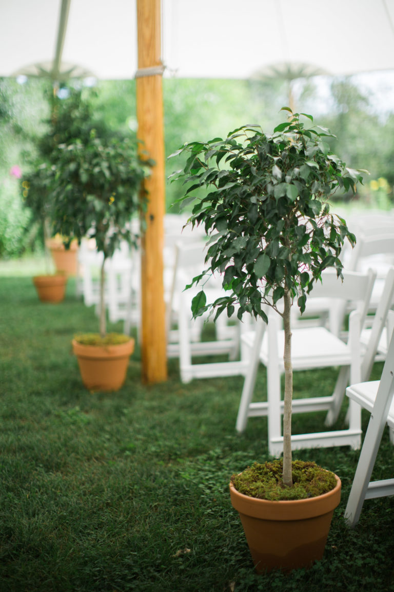 Green Wedding Design: Plants! - Showit Blog