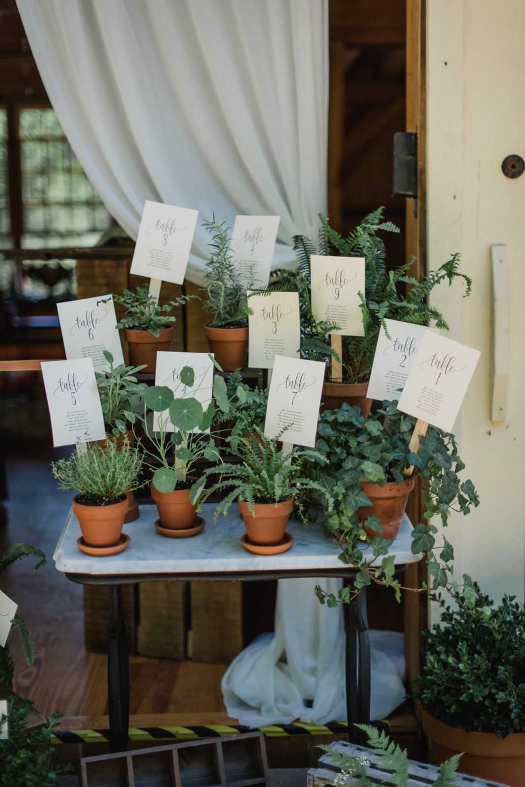 Green Wedding Design: Plants! - Showit Blog